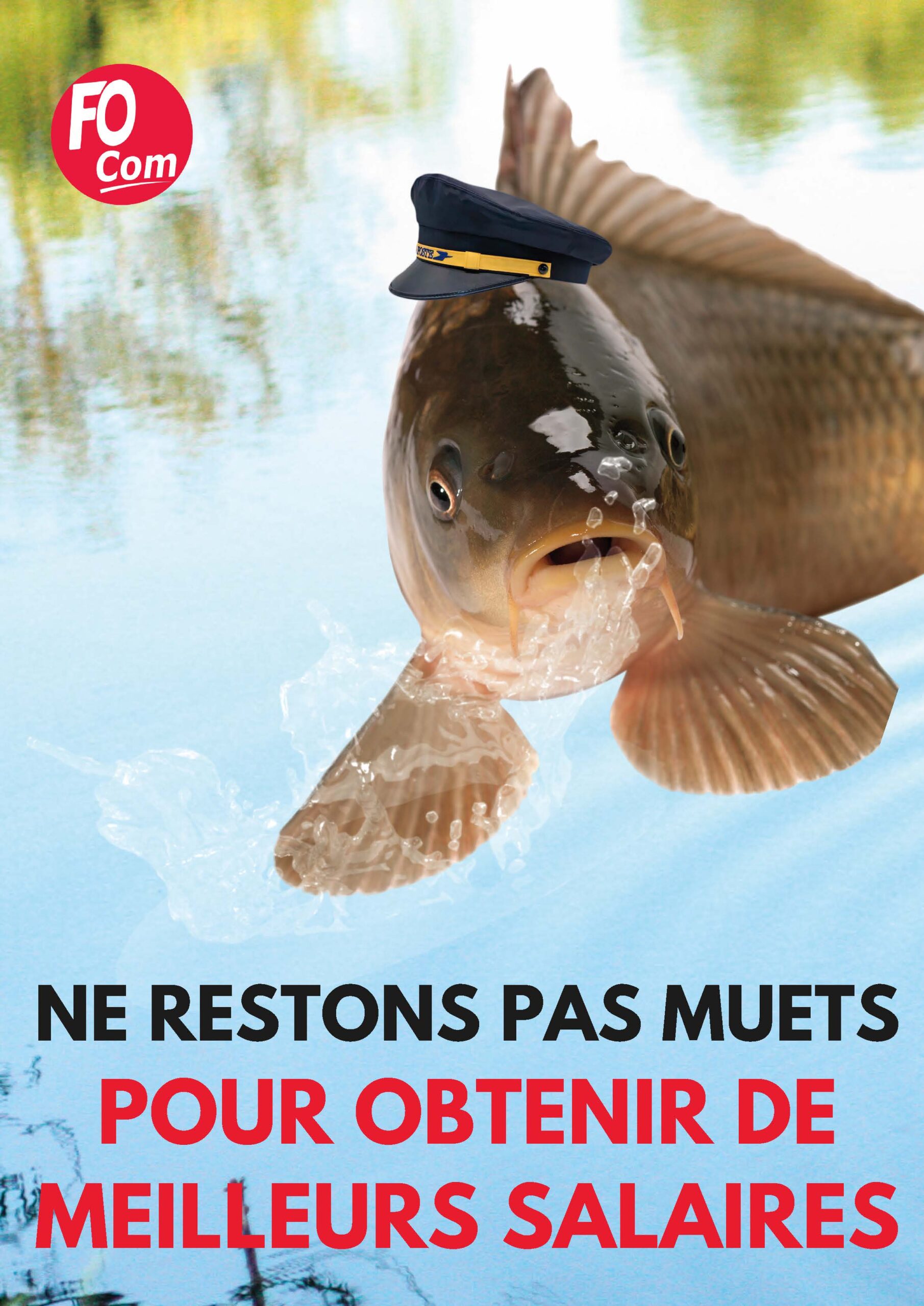 Affiches NAO 2024 – Focom-la poste
