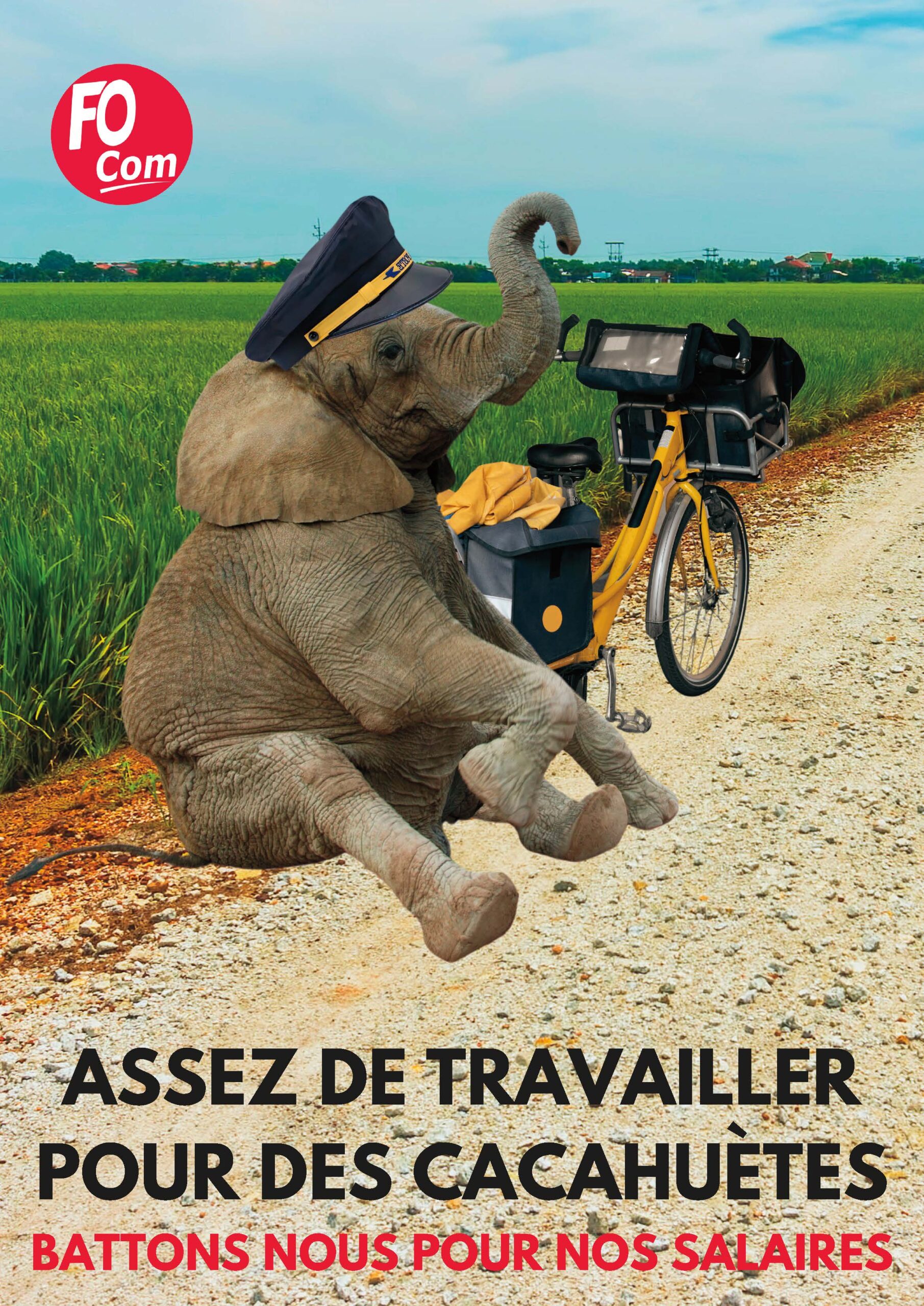 Affiches NAO 2024 – Focom-la poste